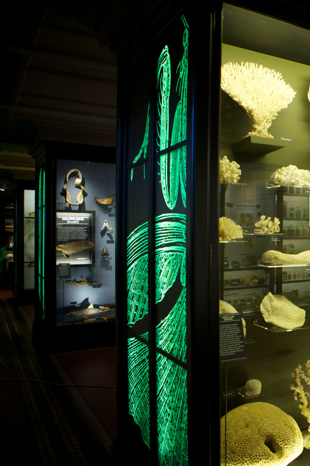 Nature’s Library (Manchester Museum, 2013–) – Curating Tomorrow